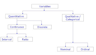 UNDERSTANDING STATISTICS: Understanding Variables - clarity on data