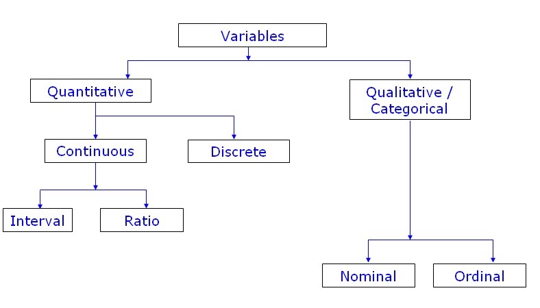 UNDERSTANDING STATISTICS: Understanding Variables - clarity on data