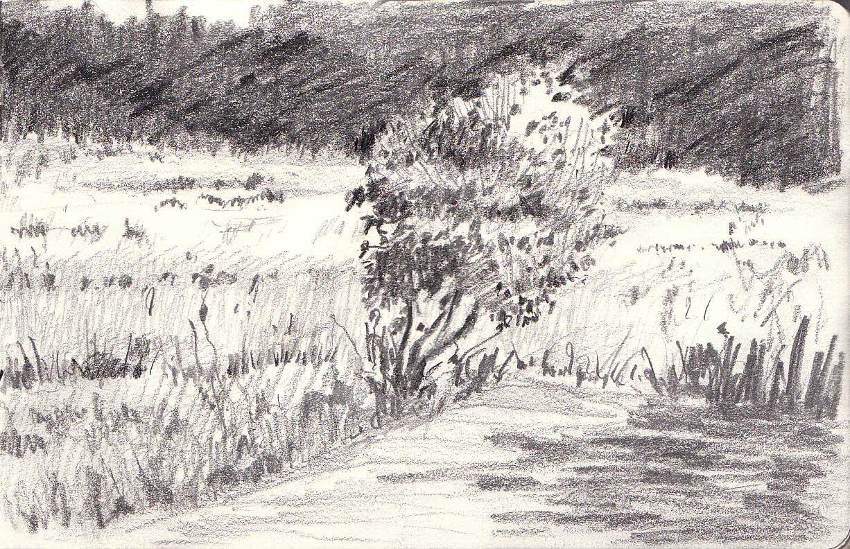 Lowcountry Sketchbook: Marsh Pencil Sketch