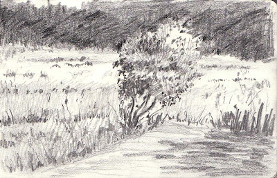 Lowcountry Sketchbook: Marsh Pencil Sketch