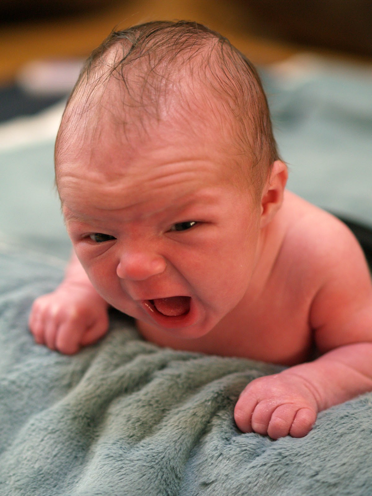 Cain Photography: Baby baby baby...