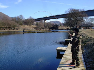 Trout Fishing Scotland: Willowgate trout fishery