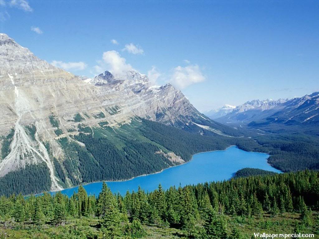 Nature|Nature Wallpaper: Wallpaper of Nature