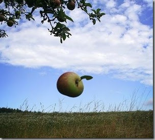 A Trip in a Rocket Ship.: Did the apple fall far from the tree....