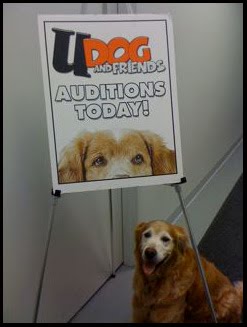 WCIU Top UDog-Dition - Golden Woofs