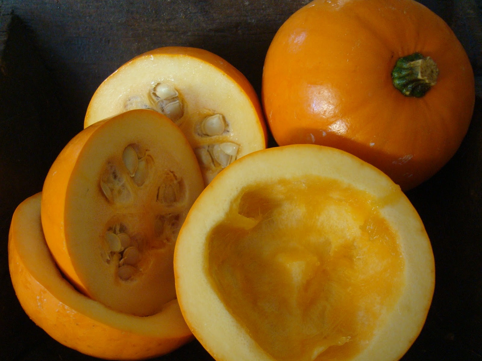 Happy October Tasty Treat: Pumpkin Dog Treats - Golden Woofs