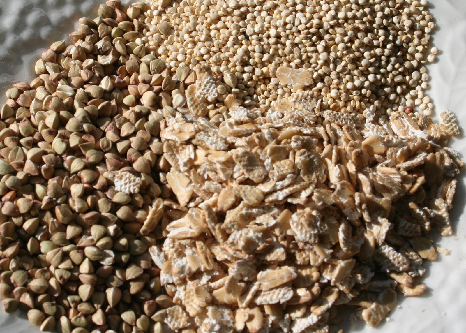 Grain Crazy: Multi grain breakfast cereal