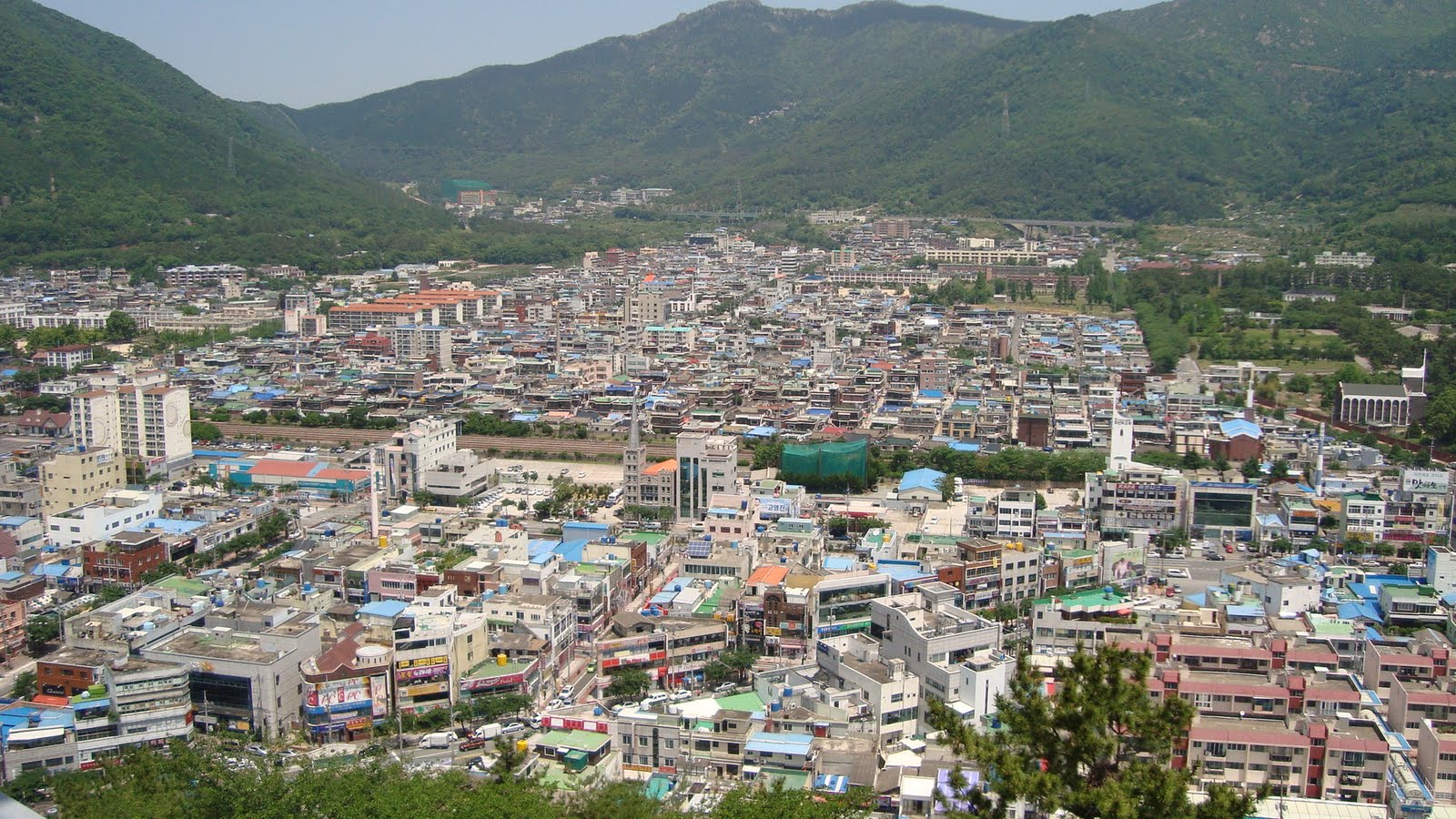Worldwide Durikas: Hello From Korea!