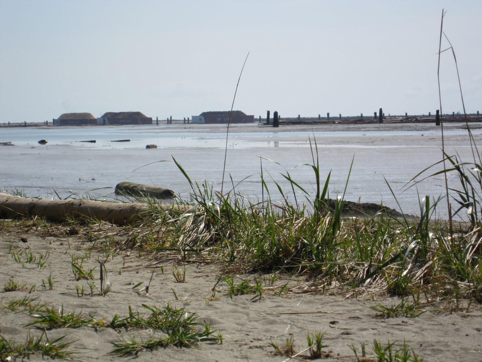 DebChaney: Breathing Space - South SIde UBC Wreck Beach