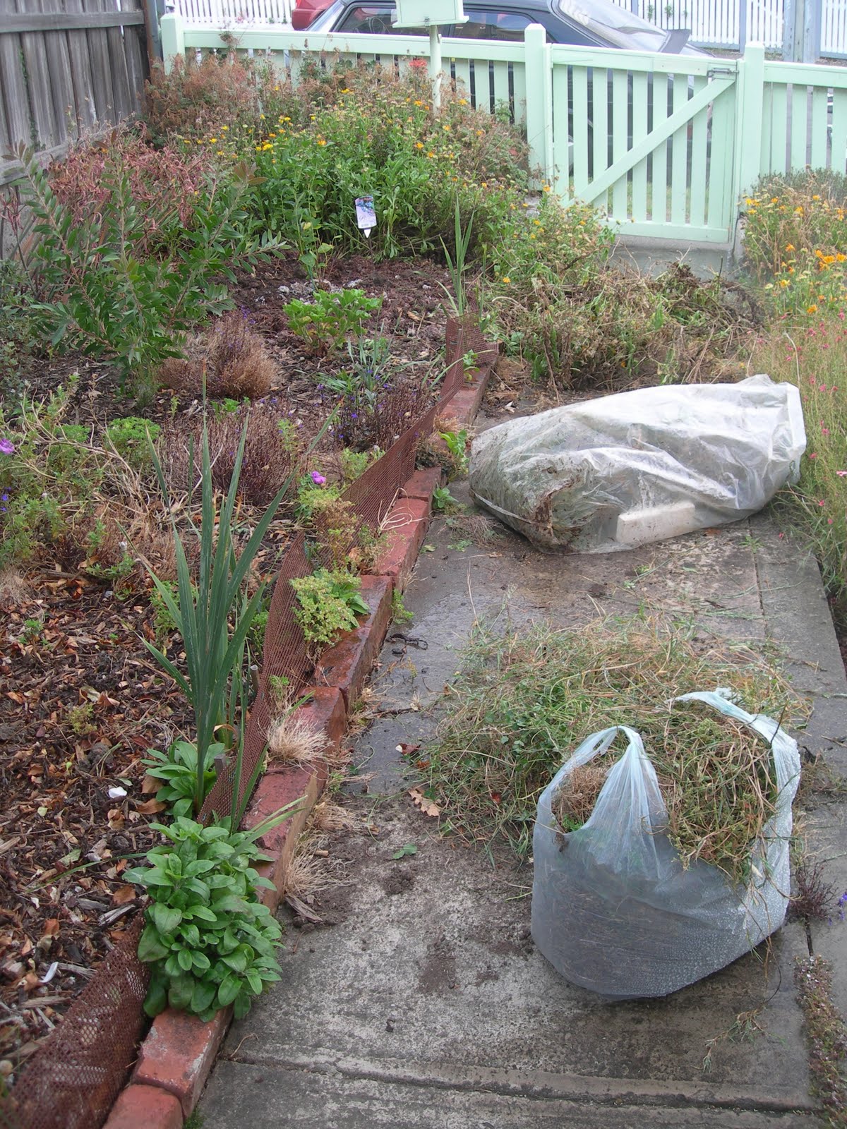 Polystyrene Garden Junkie: Easter Weekend Gardening Part 1: the front yard
