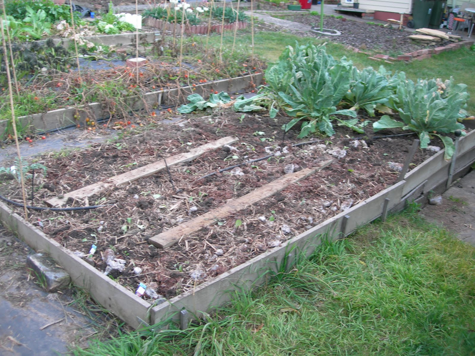 Polystyrene Garden Junkie: 2010