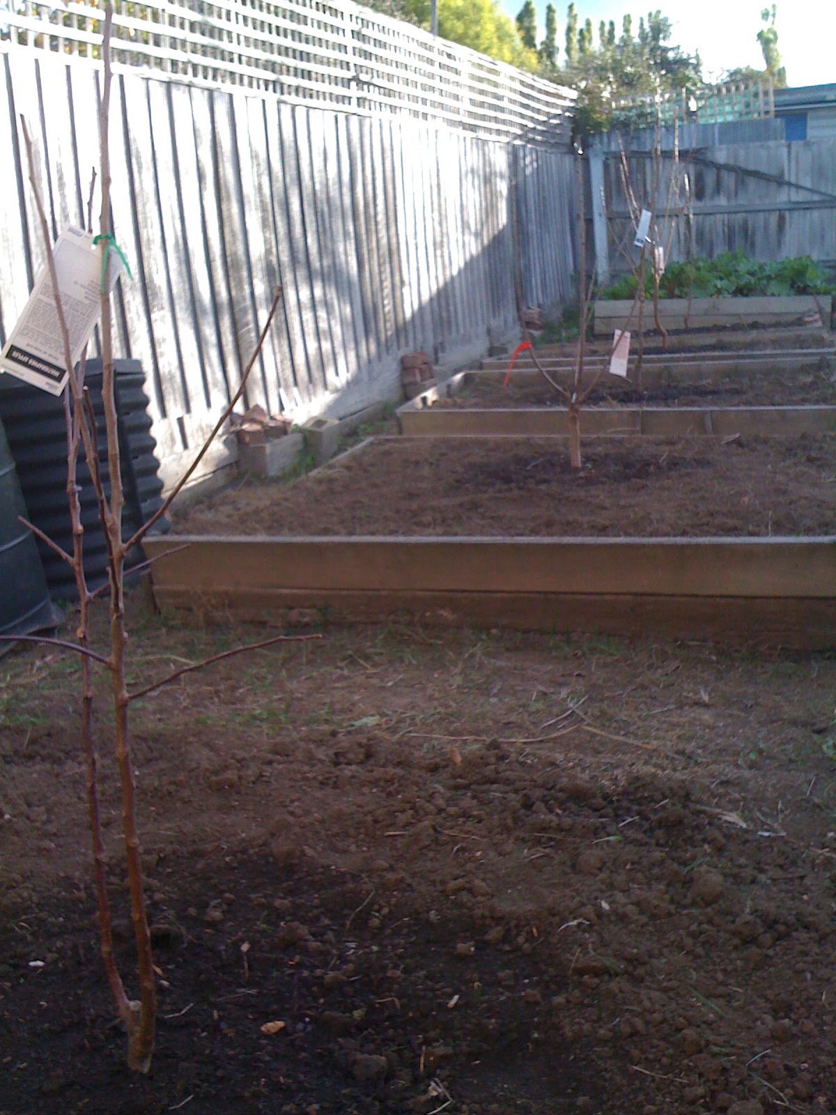 Polystyrene Garden Junkie: 2010