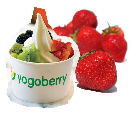Mundo da Tamie: Yogoberry