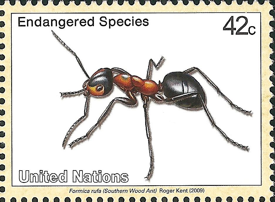 Naturaleza Cantábrica: Cuando ruge la marabunta