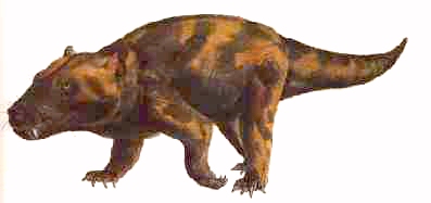 Cynognathus. :: El fosil