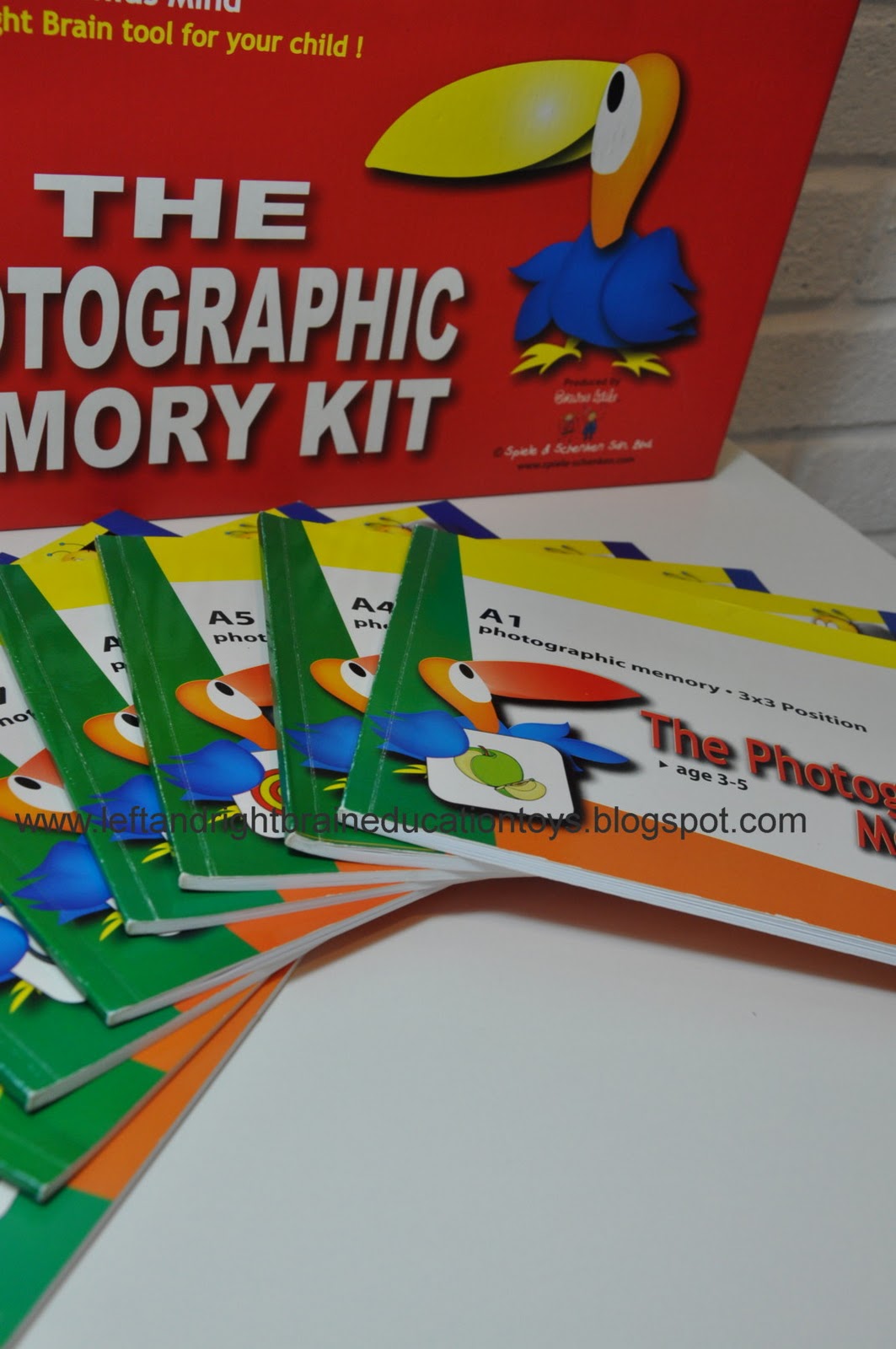 Left and Right Brain Education Toys: The Photographic Memory Kit