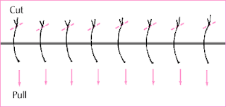 Nurse Base: METHODS FOR REMOVING SUTURES