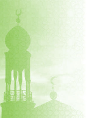 1000 Voices of Dissent: INTERVIEW WITH SEAN MUTTAQI (VEGAN REICH)