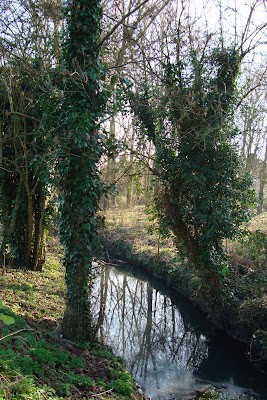 Hidden Swindon: Old Rodbourne Cheney