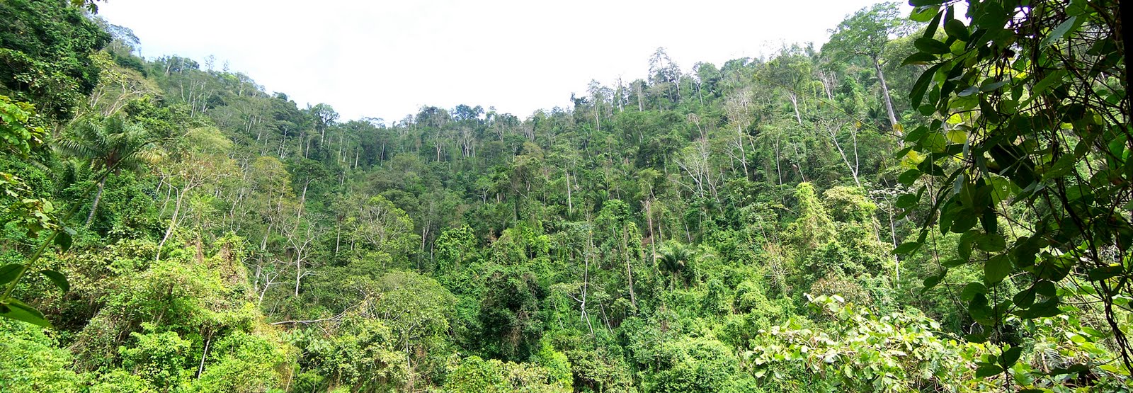 Geography and Earth Watching