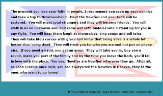 Newfie Jokes! and all da' FUNNIEST pictures!: Newfoundland Flag Verse