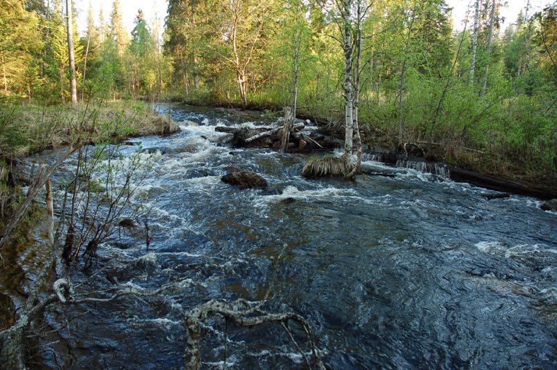 Pohjoista melontaa: Juujoki ja Siikajoki