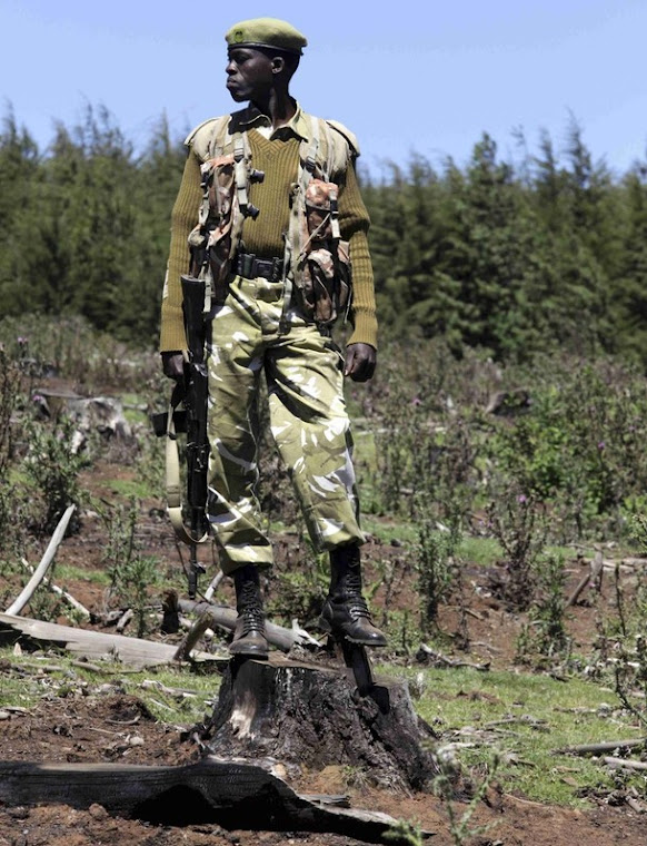 MILITARY OR EQUIVALENT FORCES LOVE: KENYA WILDLIFE SERVICE (KWS ...