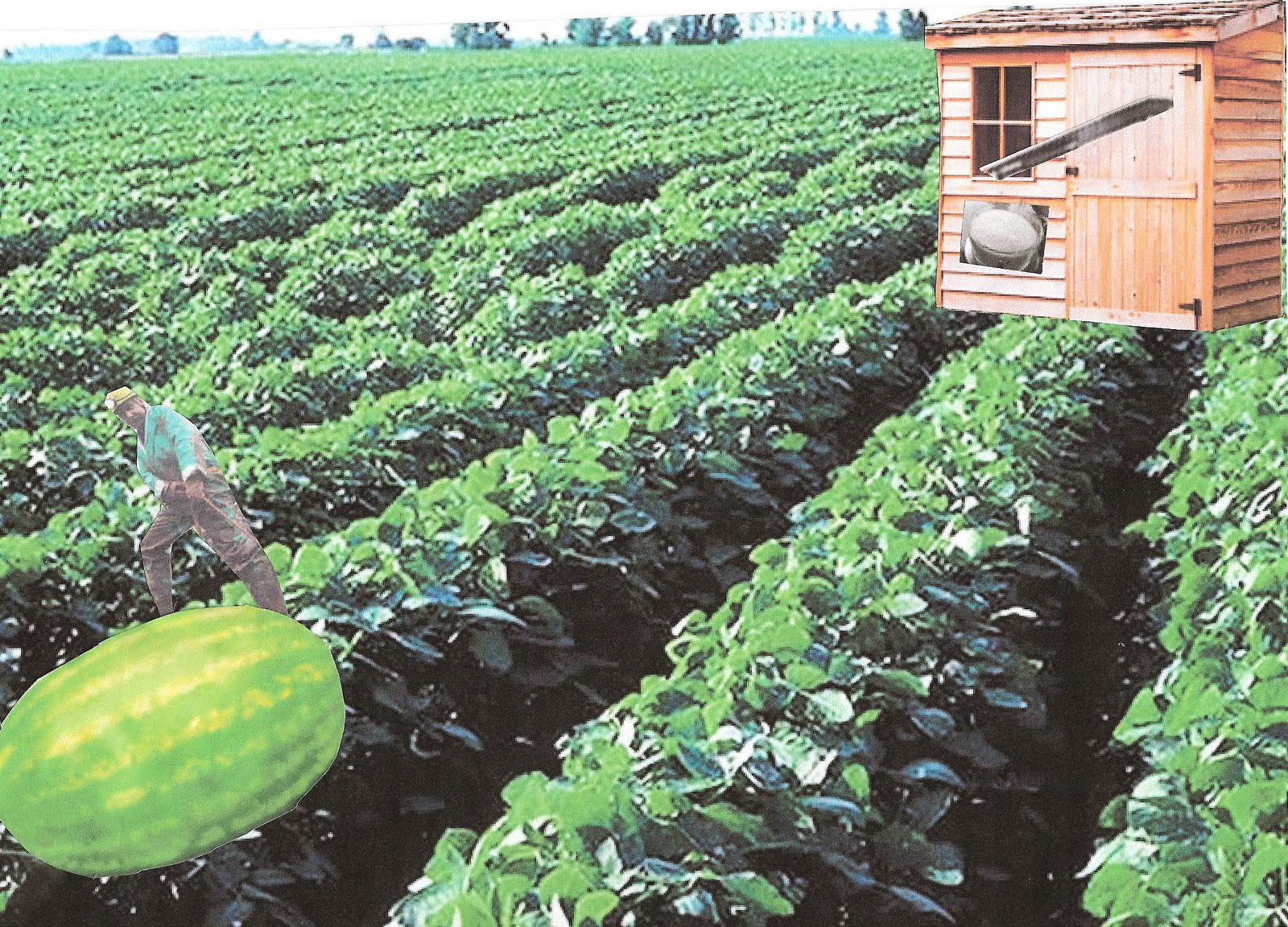 Verdala IGCSE English Literature 2011: Visual Storytelling Projects!