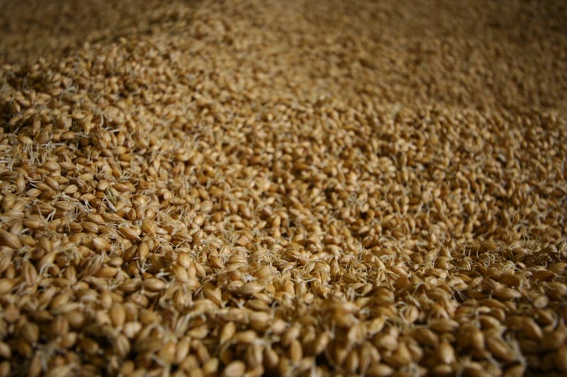 The Geologist Abroad: How to make the best whisky in the world