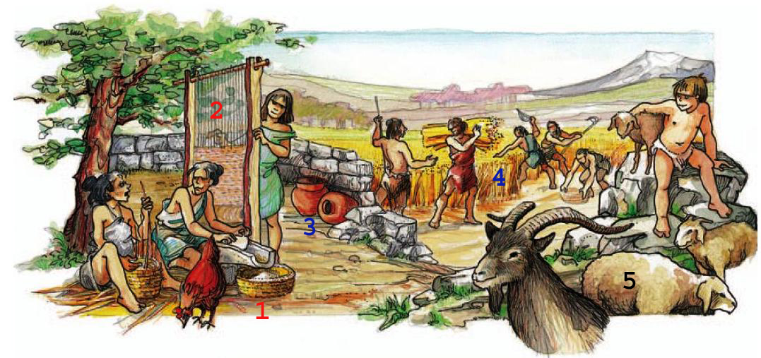 História em Tempo: O Neolítico