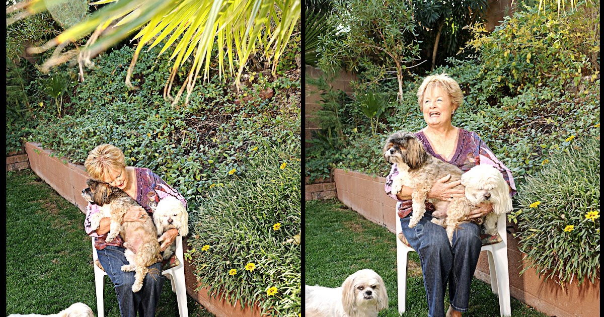 Las Vegas Commercial Photographer Jacob Kepler: Foreclosed Upon Pets