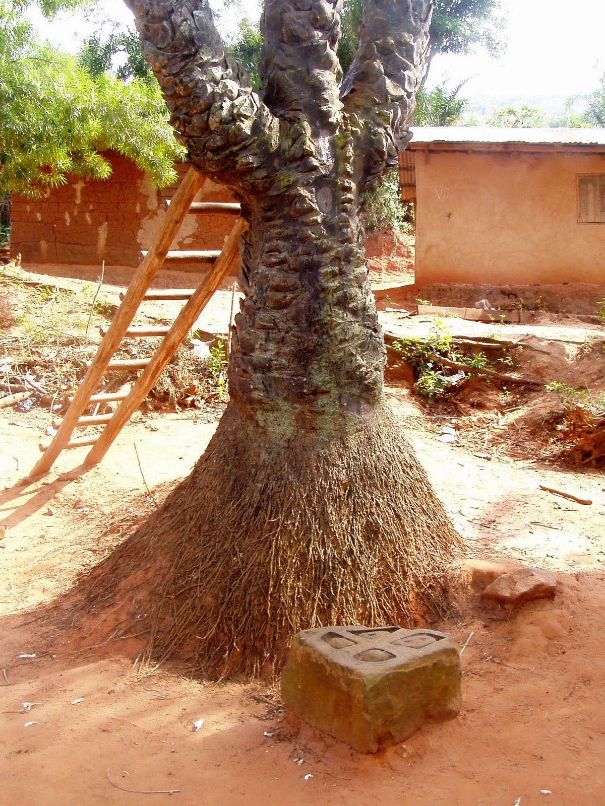 Adventures In Africa: Boti Waterfalls, Dec 13 trip