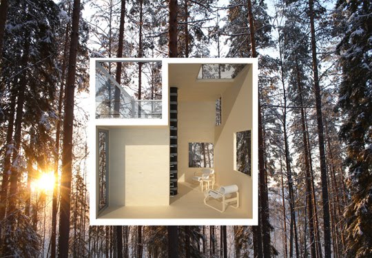 Little by Little(hales): The Invisible Tree House