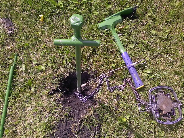 Trapping Supplies Review: An Effective Staking System