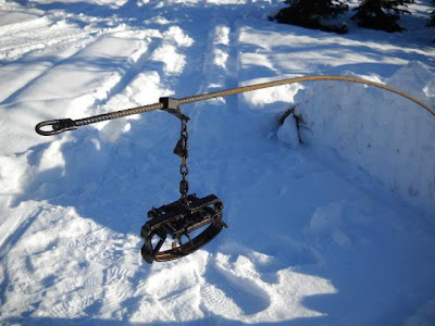 Trapping Supplies Review: Footholds for Beaver