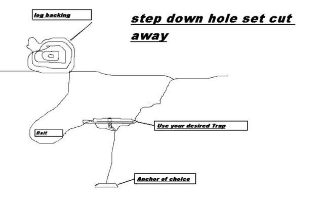 Trapping Supplies Review: Diagrams of Basic Bobcat Sets