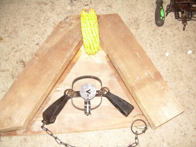 Trapping Supplies Review: Simple Muskrat Floats