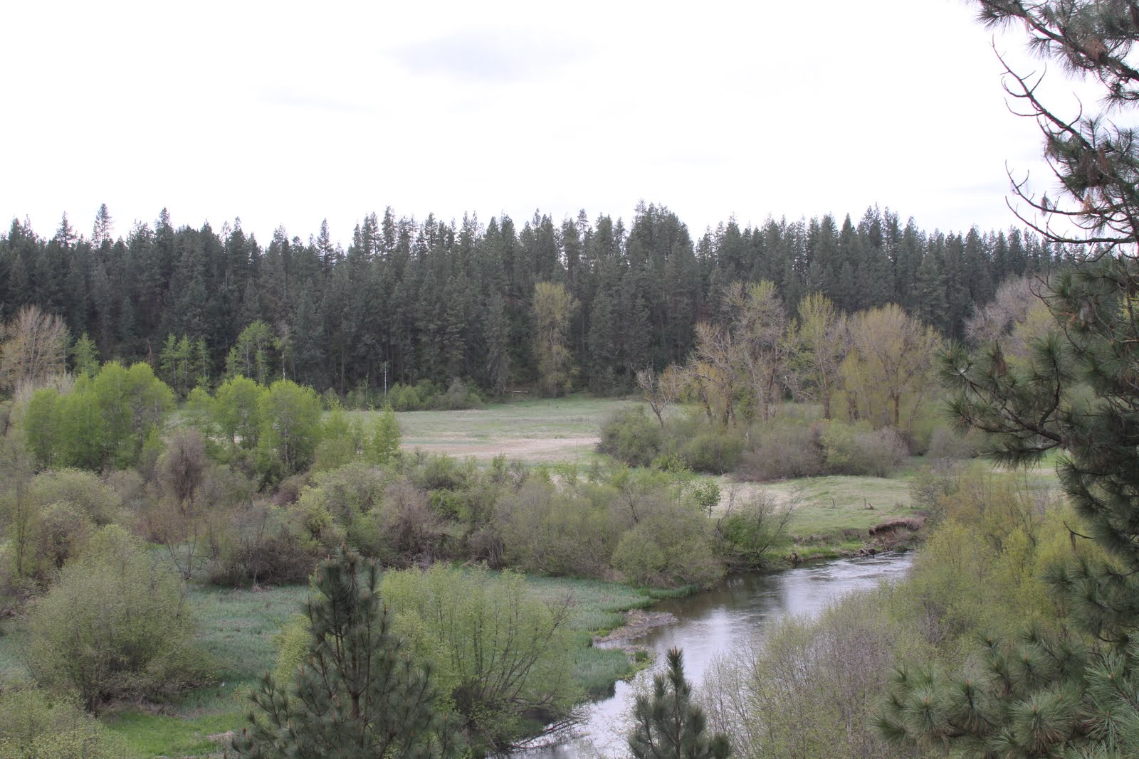 Pinkfrog Photography: Little Spokane River Natural Area