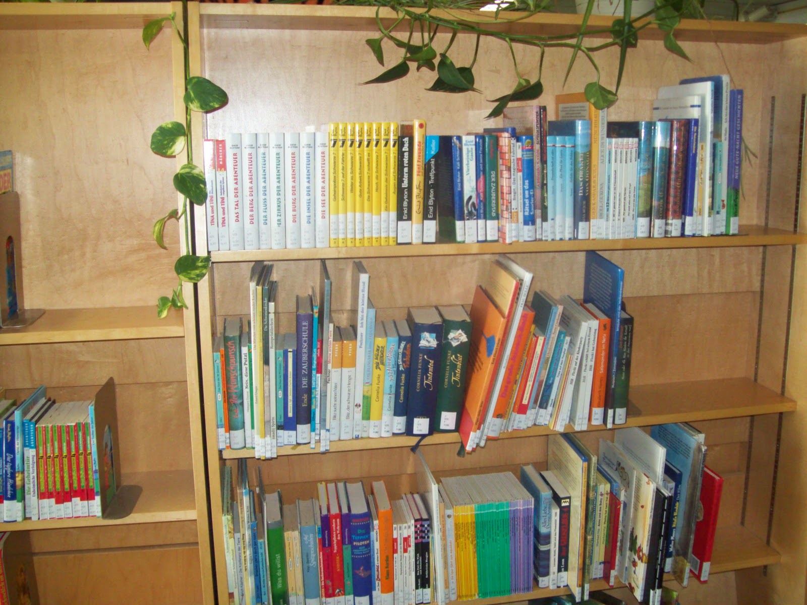 Backyard New Mexico: Reading is Fundamental: Alamogordo Public Library