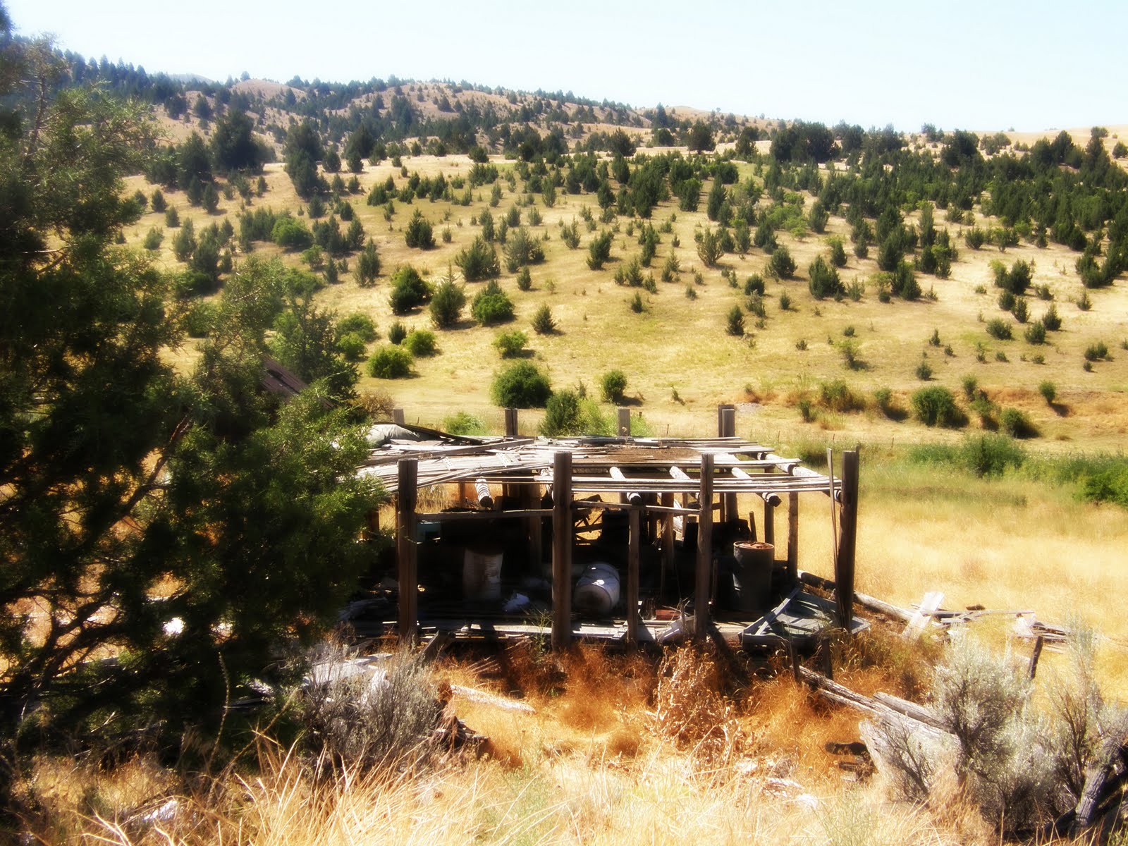 Mandeeland: The Ghost Town of Richmond, Oregon