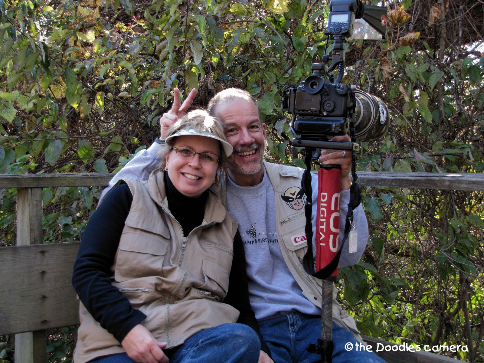 Birds from Behind : No Mysteries Monday...