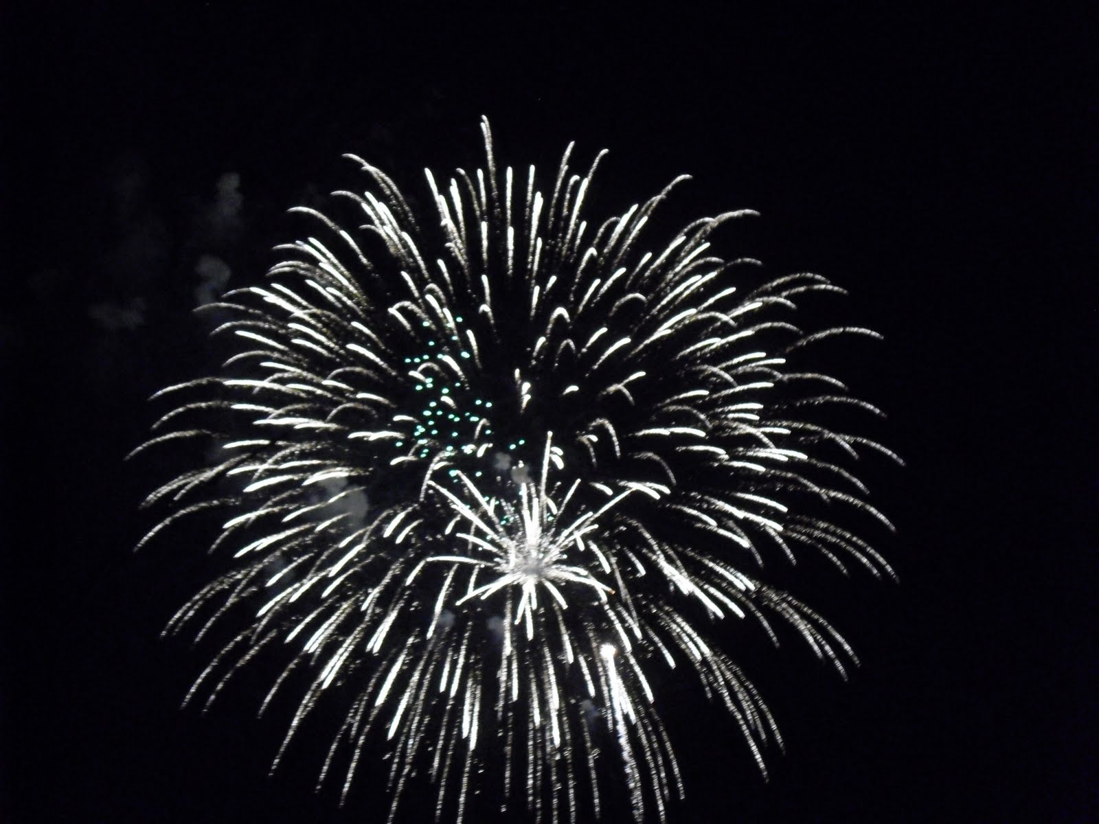 New Voices for Research: The Chemistry of Fireworks
