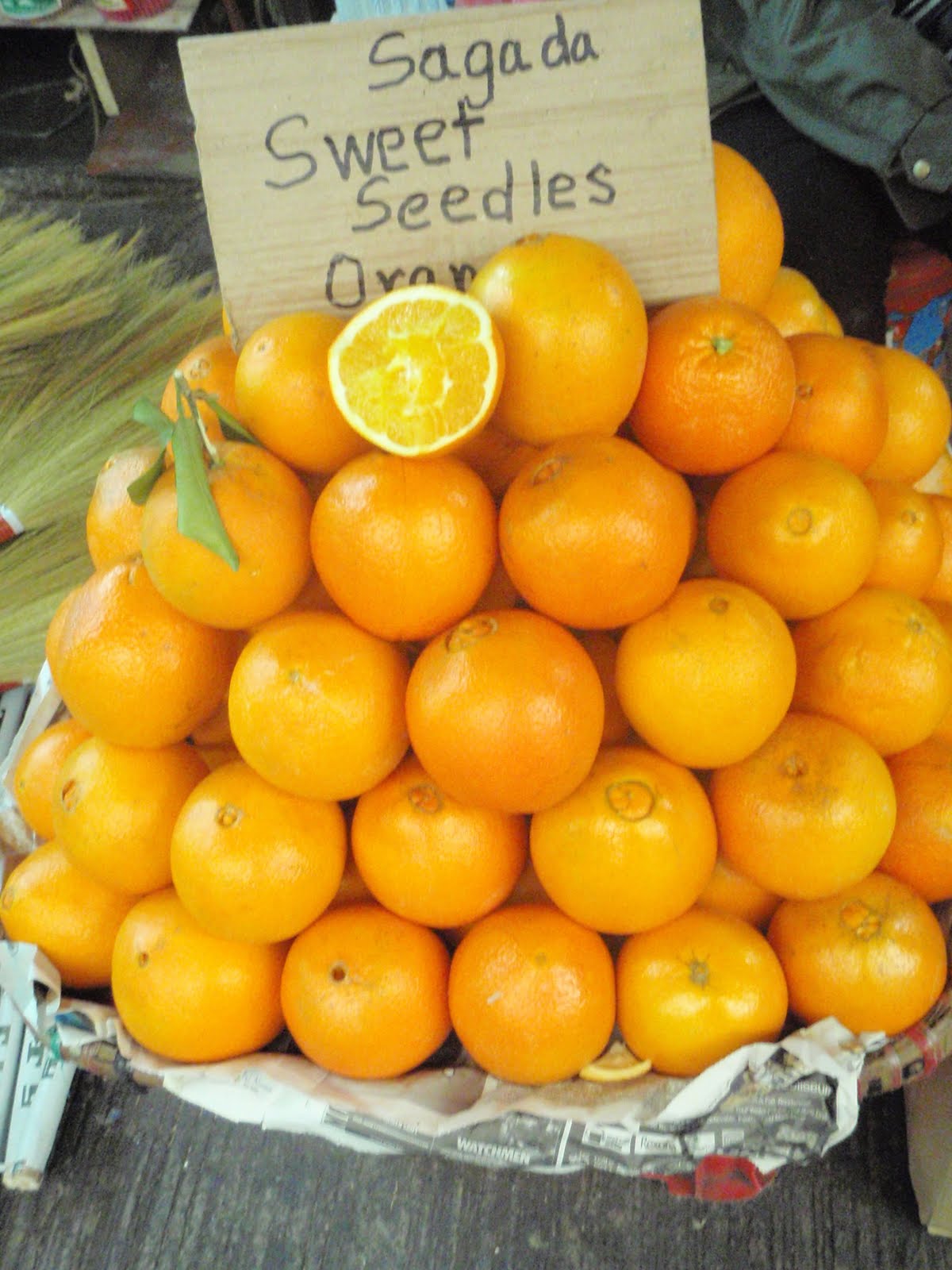 iaadamlim: Exploring Baguio One Morning on December 2010