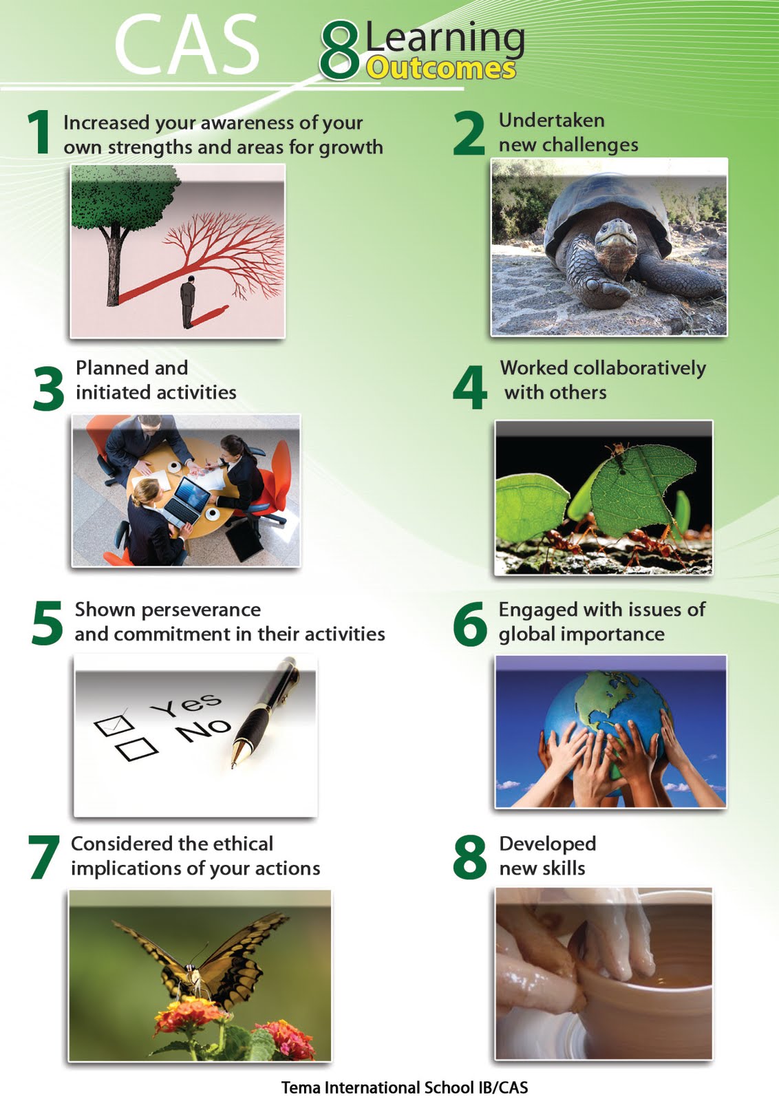 CAS Creativity, Action, Service @ TIS/Ghana : The 8 Learning Outcomes