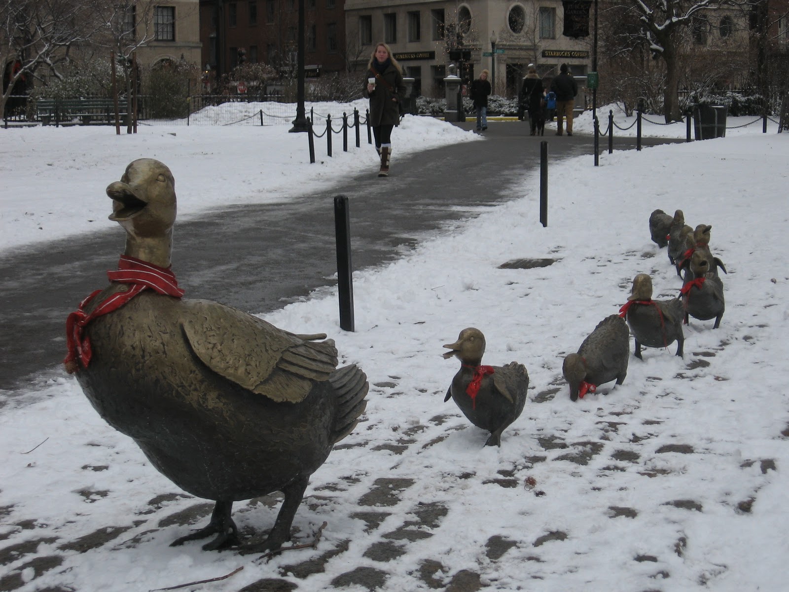 Niffy's Scoop: Get Your Ducks in a Row