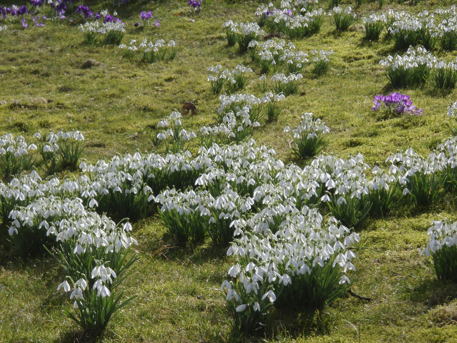 Karen Slatcher: Hartington to Milldale