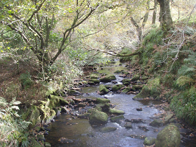 Karen Slatcher: Lud's Church etc