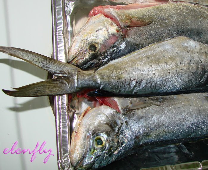 CookArt | by elenfly: ΨΑΡΙΑ ΨΗΤΑ (ΛΙΤΣΕΣ) - GRILLED FISH ( LITSA FISH)