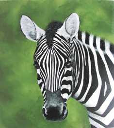 Mabel Blanco - Hyperrealistic Wildlife Art: Cabeza de cebra