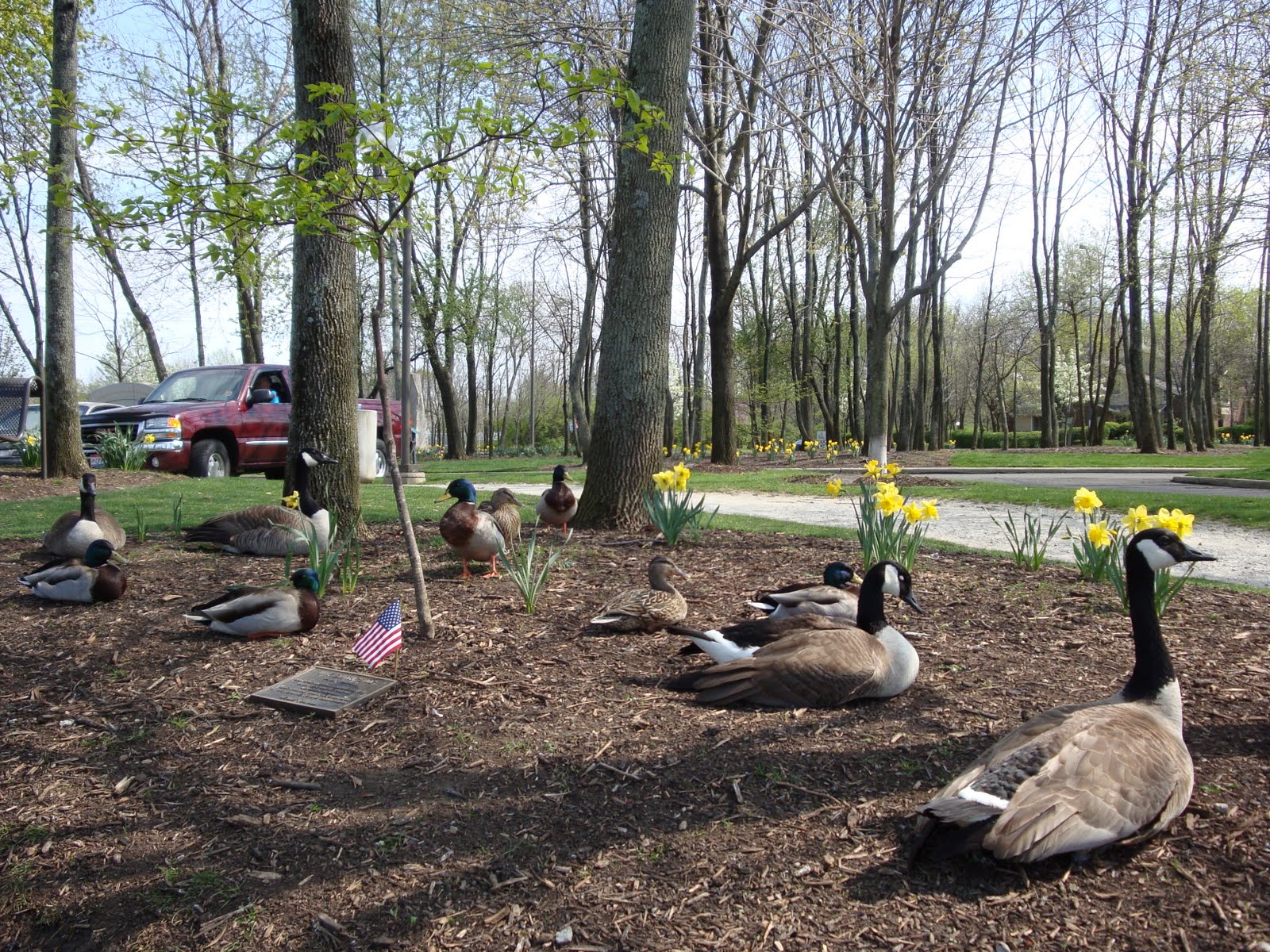 Lincoln Park Commons Pond News Kettering, Ohio: Kettering Parks ...